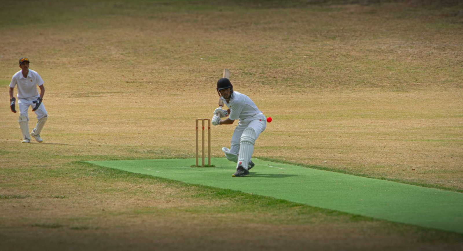 How To Play Cover Drive in Cricket. - Zircon E-Shop